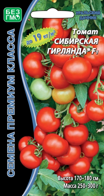 Томат Сибирская гирлянда: описание сорта помидоров, характеристики ...