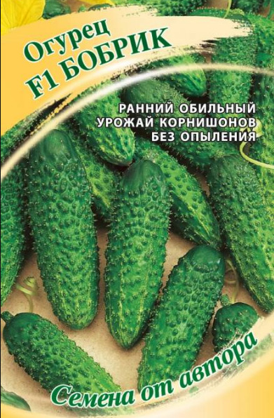 Огурец Бобрик: описание и характеристики сорта, правила посадки и ...