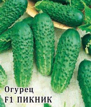 Огурец Пикник: описание и характеристики сорта, правила посадки и ...