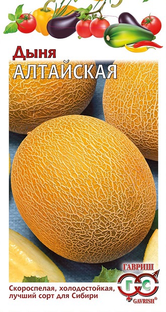 Дыня Алтайская: описание и характеристики сорта, особенности посадки и ...