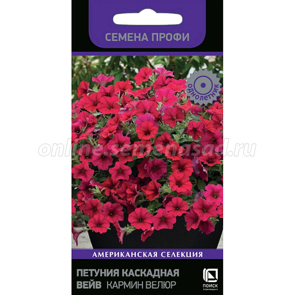 Петуния Вейв Кармин Велюр: описание сорта, характеристики, тонкости ...