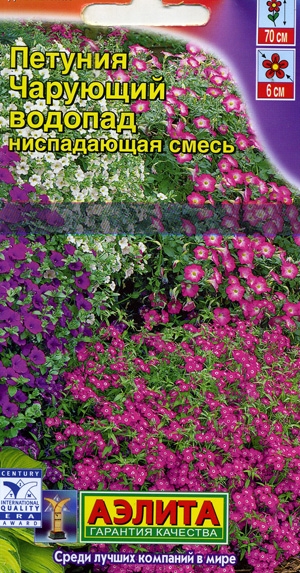 Петуния Чарующий водопад: описание сорта, характеристики, тонкости ...