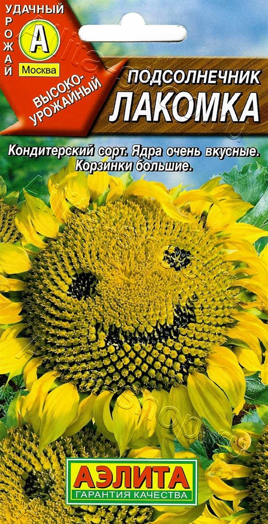 Подсолнечник Лакомка: описание сорта, характеристики, агротехника ...