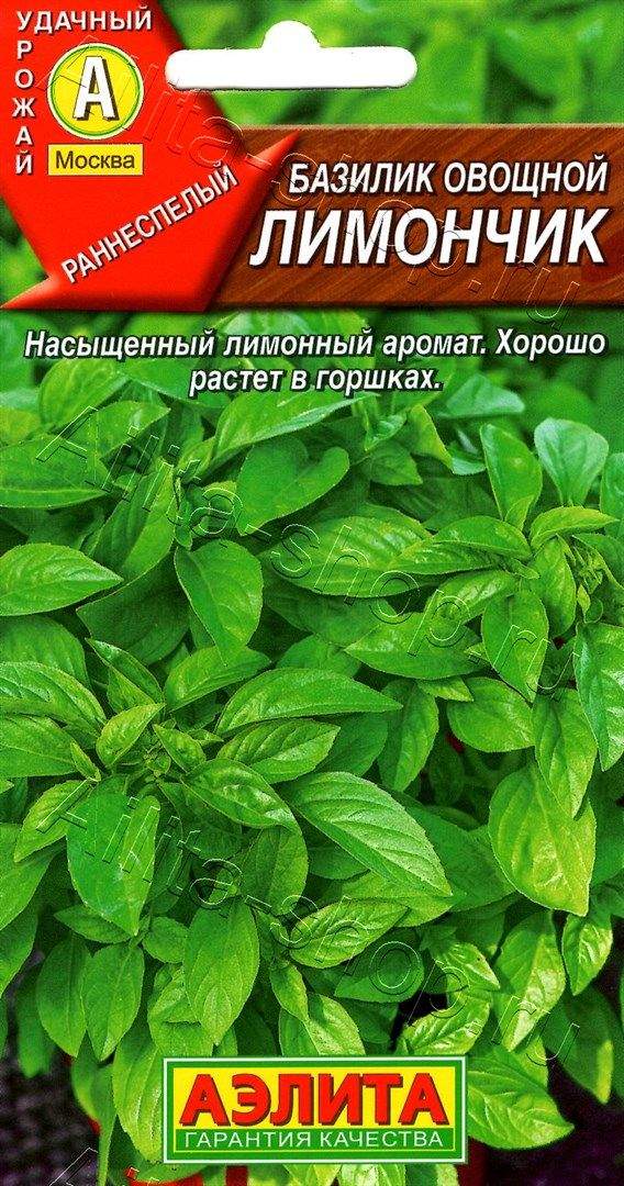 Базилик Лимончик: описание сорта, характеристики, особенности посадки и ...