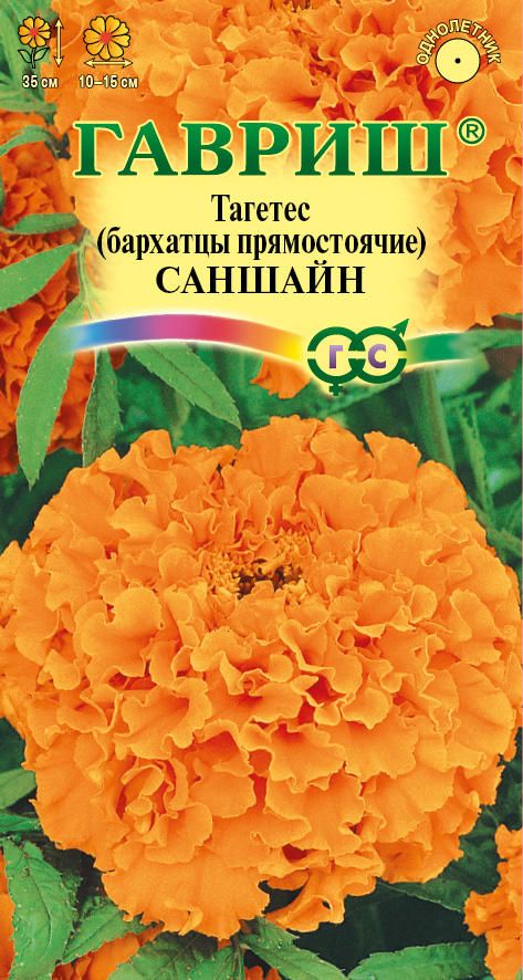 Бархатцы Саншайн: описание и характеристики сорта бархоток, тонкости ...