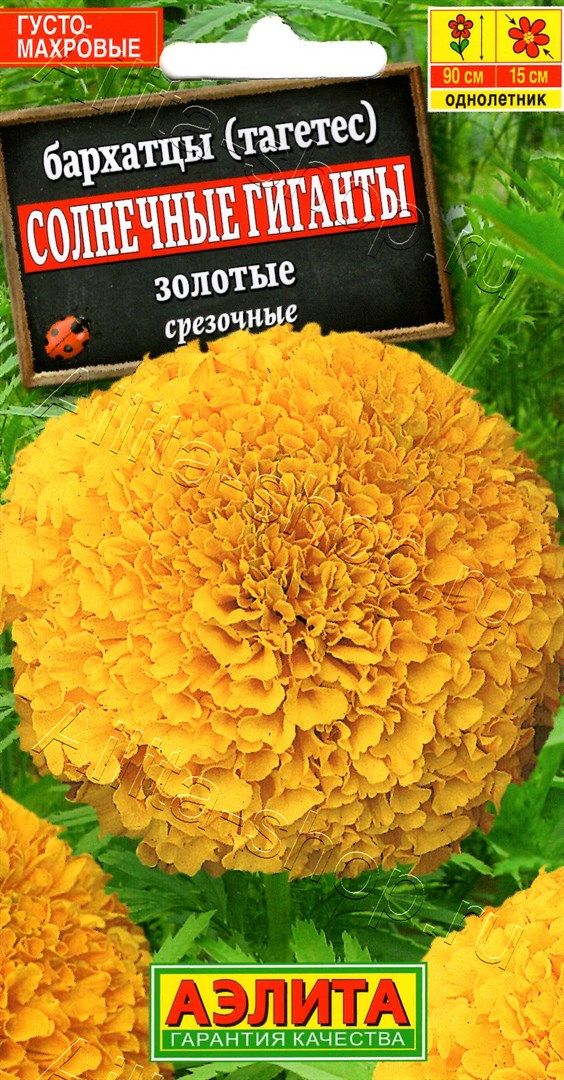 Бархатцы Солнечные гиганты: описание и характеристики сорта бархоток ...