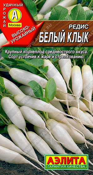 Редис Белый клык: описание и характеристики сорта, особенности посадки ...