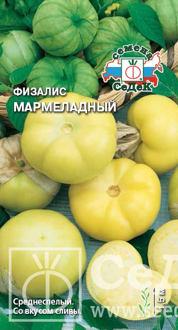 Физалис Мармеладный: описание сорта, характеристики, особенности ...