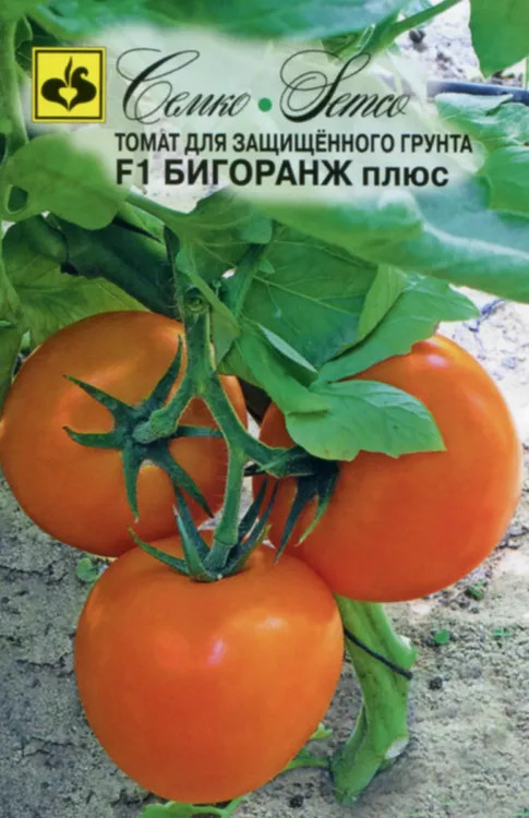 Томат Бигоранж: описание сорта помидоров, характеристики. Особенности ...