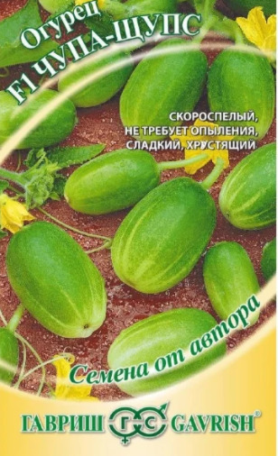 Огурец Чупа-Щупс: описание и характеристики сорта, правила посадки и ...