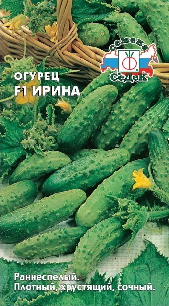 Огурец Ирина: описание и характеристики сорта, правила посадки и ...