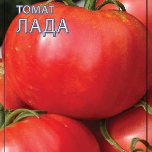 Томат Лада: описание сорта помидоров, характеристики. Особенности ...