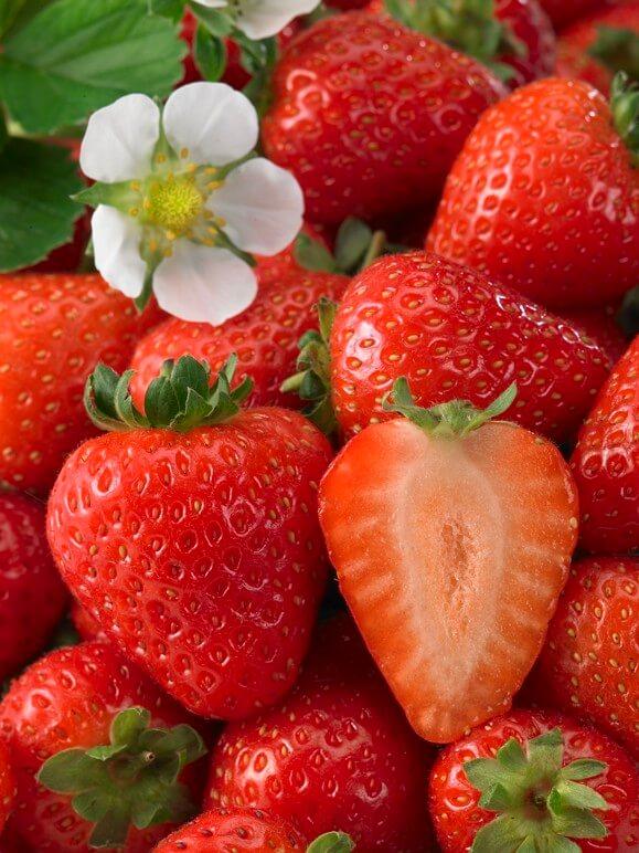 Клубника Зенит: описание и характеристики сорта садовой земляники ...