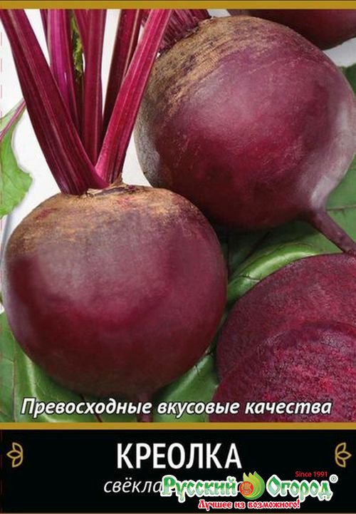 Свекла Креолка: особенности и характеристики сорта, агротехника посадки ...