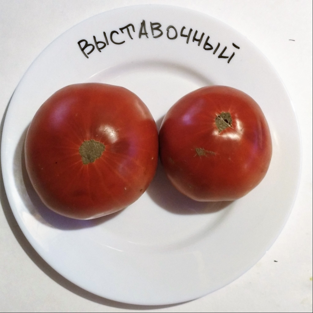 Томат Выставочный: описание сорта помидоров, характеристики ...
