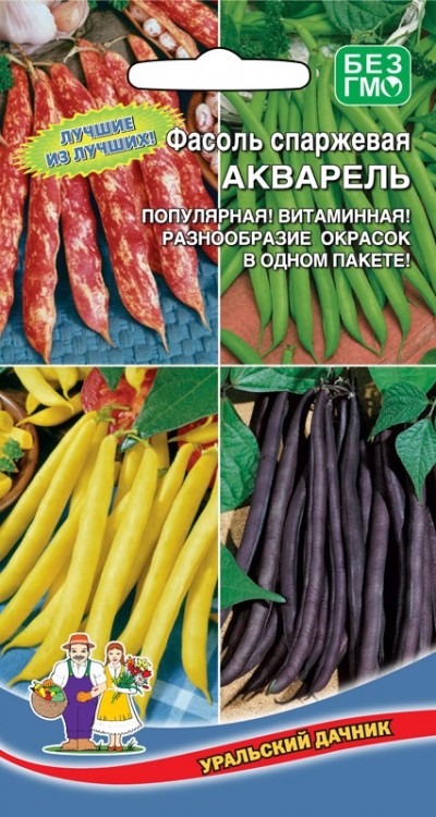 Фасоль Акварель: описание сорта, характеристики, агротехника посадки и ...