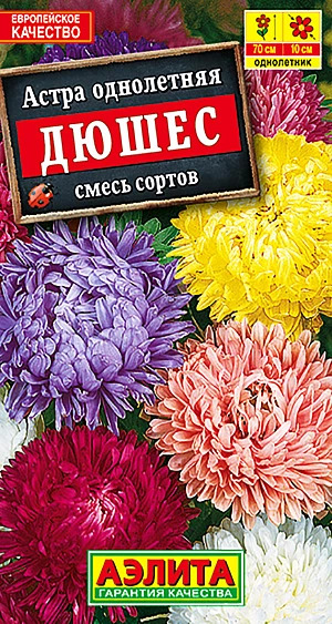 Астра Дюшес (смесь окрасок): описание сорта, характеристики ...