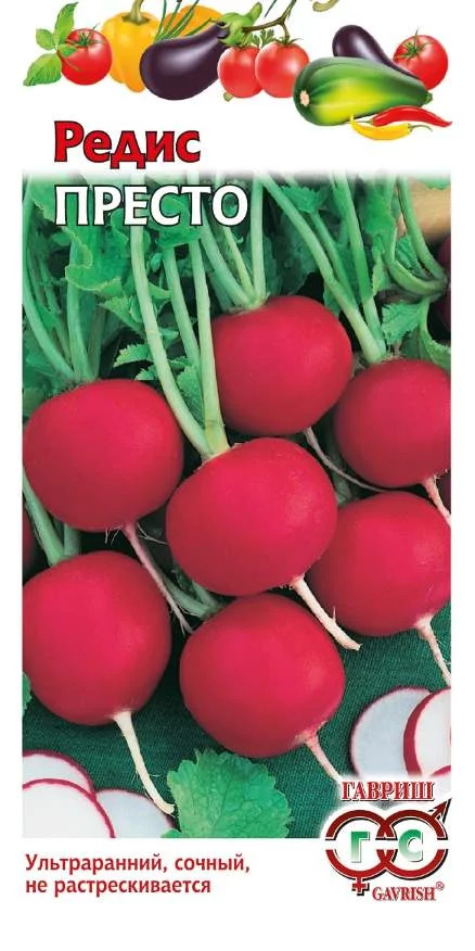 Редис Престо: описание и характеристики сорта, особенности посадки и ...