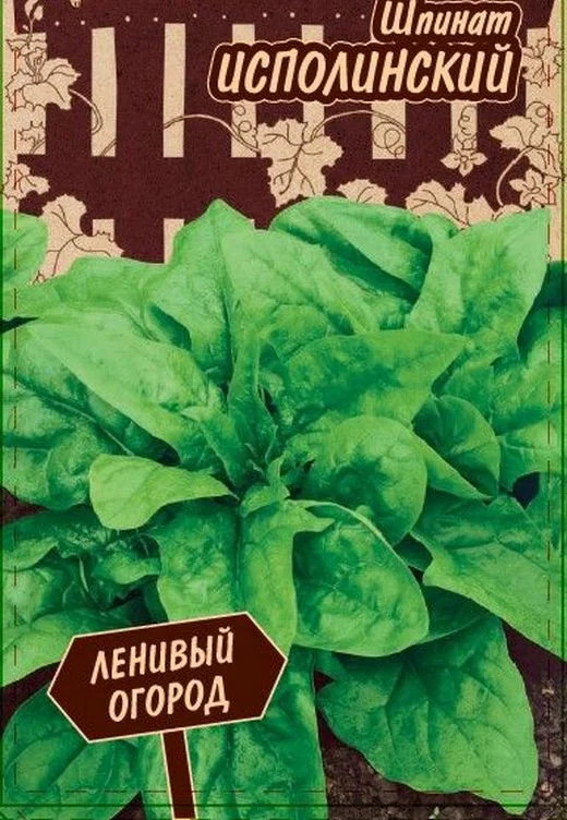Шпинат Исполинский: описание сорта, характеристики, агротехника посадки ...