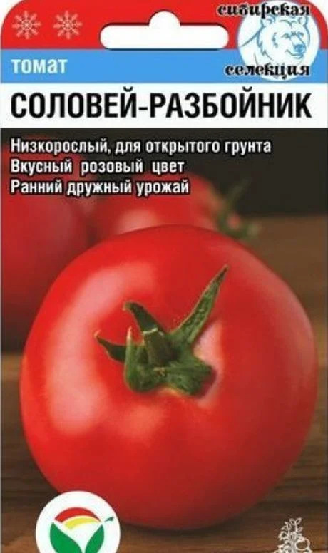 Томат Соловей-Разбойник: описание сорта помидоров, характеристики ...