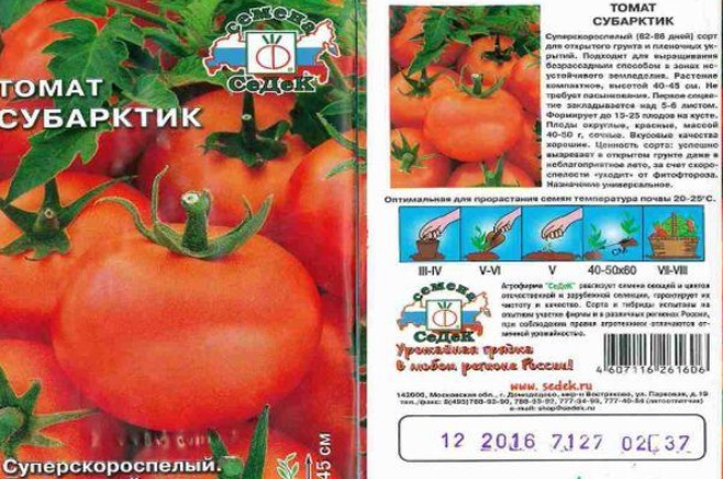 Томат Субарктик: описание сорта помидоров, характеристики. Особенности ...