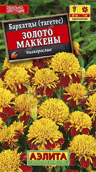 Бархатцы Золото Маккены: описание и характеристики сорта бархоток ...