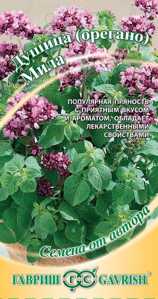 Душица Мила: описание сорта, характеристики, агротехника посадки и ...