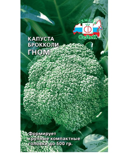 Капуста брокколи Гном: описание и характеристики сорта, особенности ...
