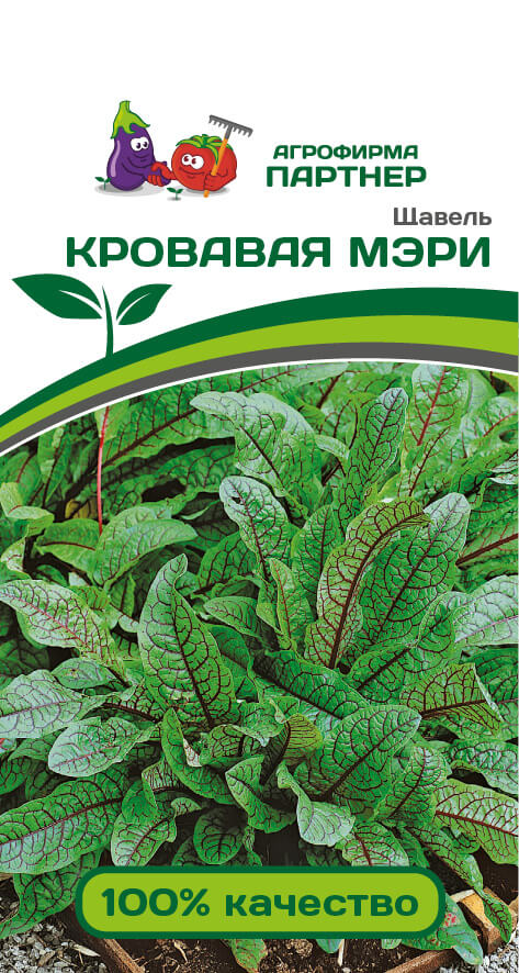 Щавель Кровавая Мэри: описание сорта, характеристики, агротехника ...