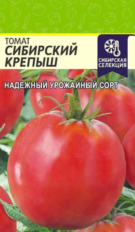 Томат Сибирский крепыш: описание сорта помидоров, характеристики ...