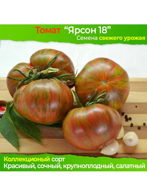 Томат Ярсон 18: описание сорта помидоров, характеристики. Особенности ...