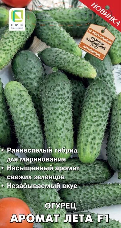 Огурец Аромат лета: описание и характеристики сорта, правила посадки и ...