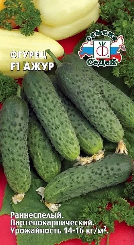 Огурец Ажур: описание и характеристики сорта, правила посадки и ...