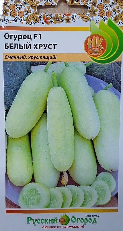 Огурец Белый Хруст: описание и характеристики сорта, правила посадки и ...