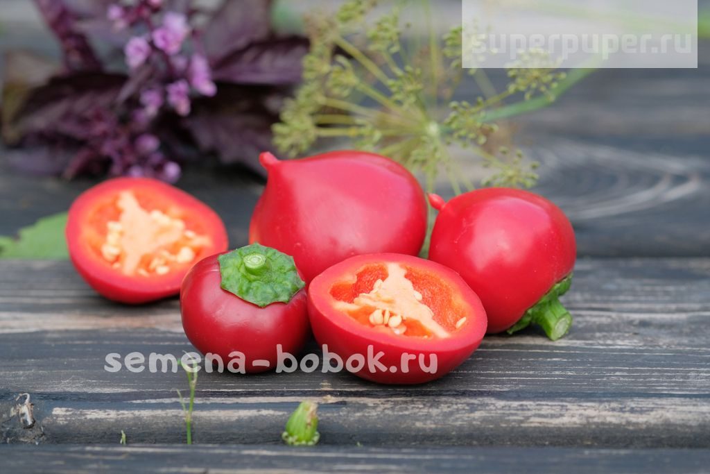 Перец Диана: описание сорта, характеристика плодов, агротехника ...