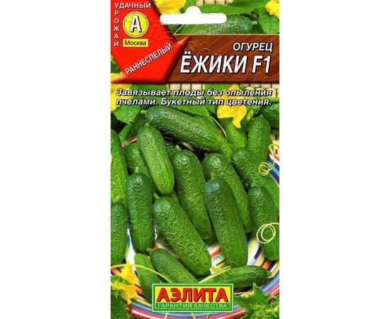 Огурец Ежики: описание и характеристики сорта, правила посадки и ...