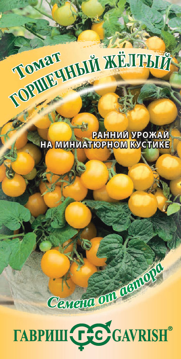 Томат Горшечный жёлтый: описание сорта помидоров, характеристики ...