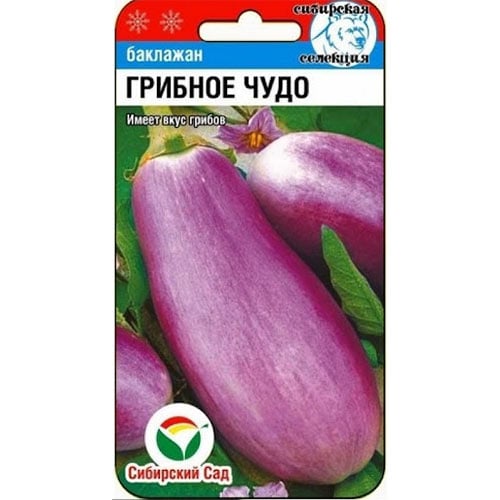 Баклажан Грибное чудо: описание и характеристика сорта, агротехника ...