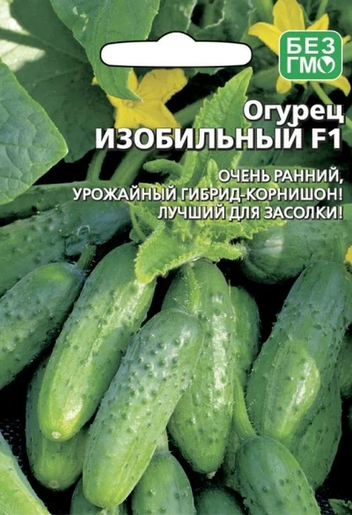 Огурец Изобильный: описание и характеристики сорта, правила посадки и ...