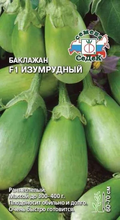 Баклажан Изумрудный: описание и характеристика сорта, агротехника ...