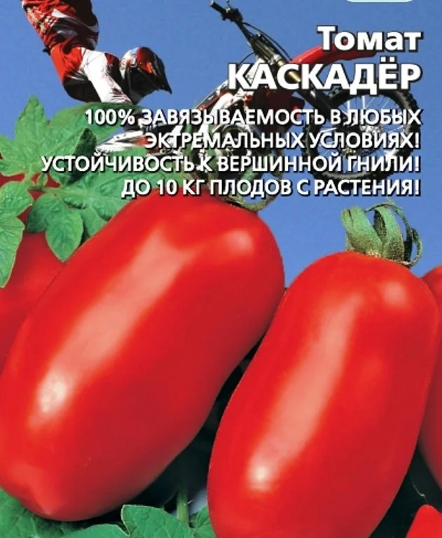 Томат Каскадер: описание сорта помидоров, характеристики. Особенности ...