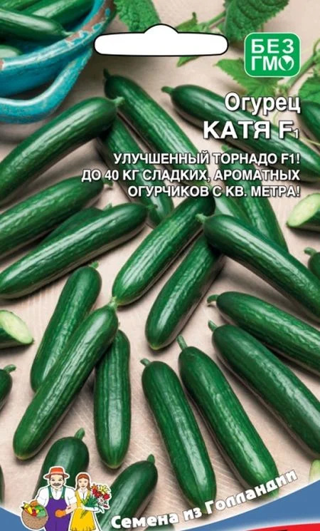 Огурец Катя: описание и характеристики сорта, правила посадки и ...