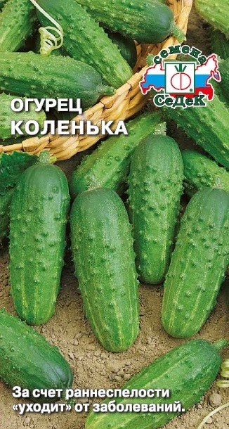Огурец Коленька: описание и характеристики сорта, правила посадки и ...
