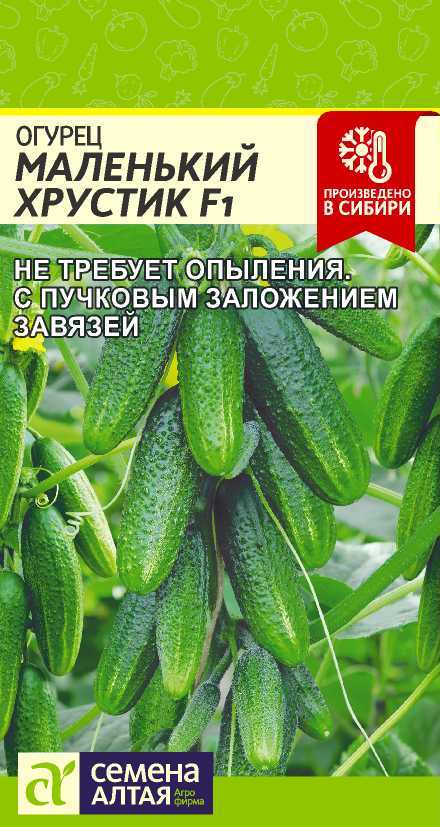 Огурец Маленький Хрустик: описание и характеристики сорта, правила ...