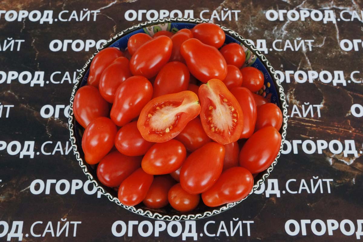 Томат Мегагрон (Козула 14): описание сорта помидоров, характеристики ...