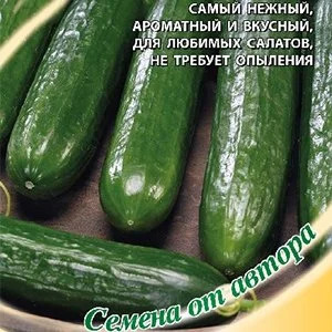 Огурец Месье Оливье: описание и характеристики сорта, правила посадки и ...