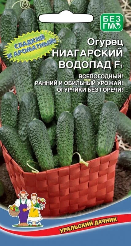 Огурец Ниагарский водопад: описание и характеристики сорта, правила ...