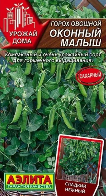 Горох Оконный малыш: описание и характеристики сорта, правила посадки и ...