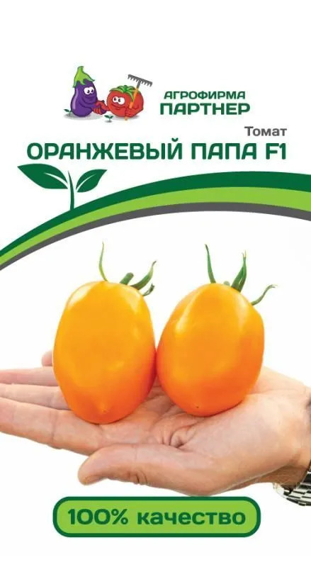 Томат Оранжевый папа: описание сорта помидоров, характеристики ...