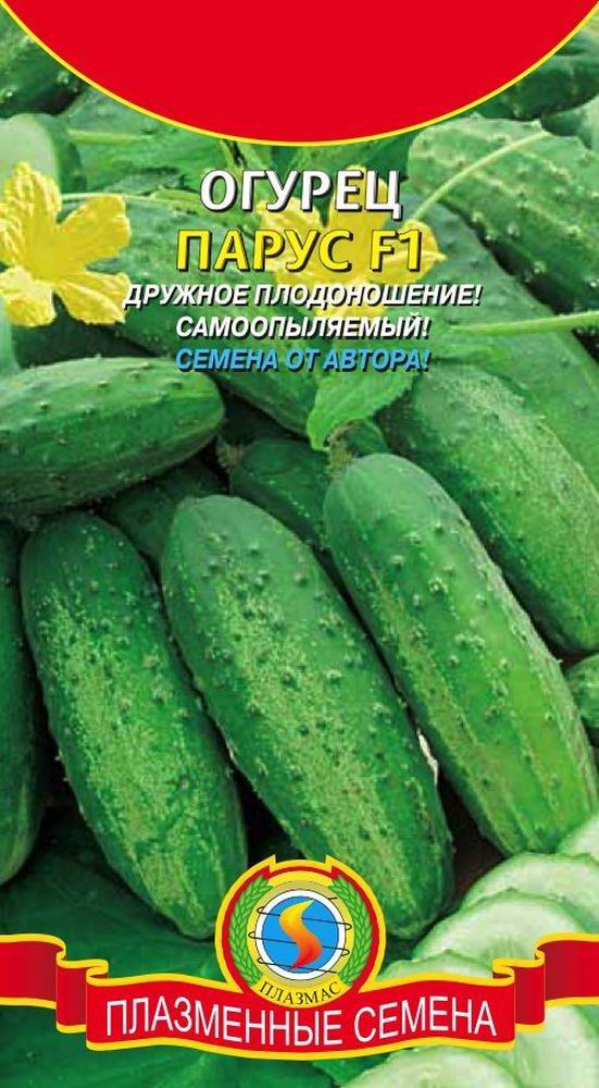 Огурец Парус: описание и характеристики сорта, правила посадки и ...